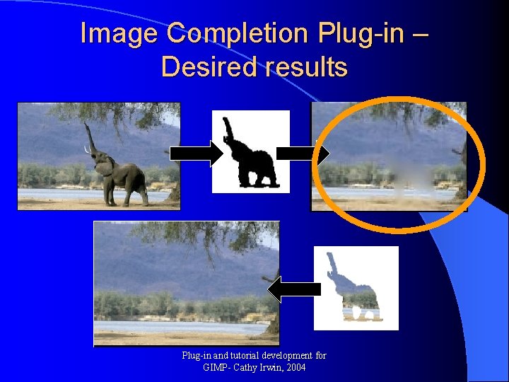 The Development of Image Completion and Tutorial Plugins