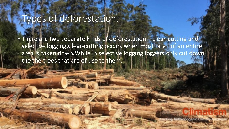 Deforestation By Magdalena Kantorowicz What is deforestation well