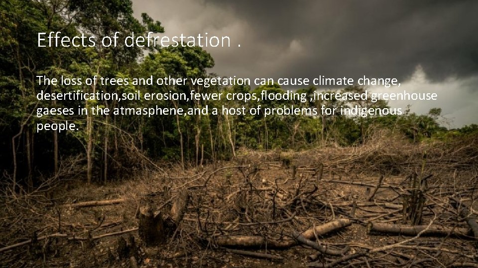 Deforestation By Magdalena Kantorowicz What is deforestation well