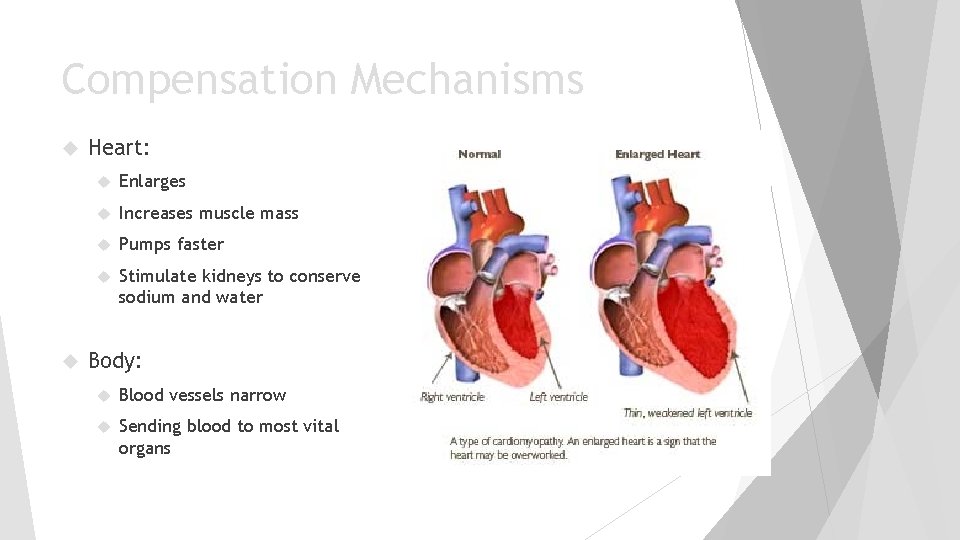 Heart Failure Jerri Lamar Learning Objectives Understand classification