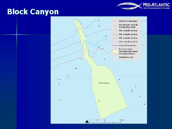 MSB Am 16 Deep Sea Corals Range of