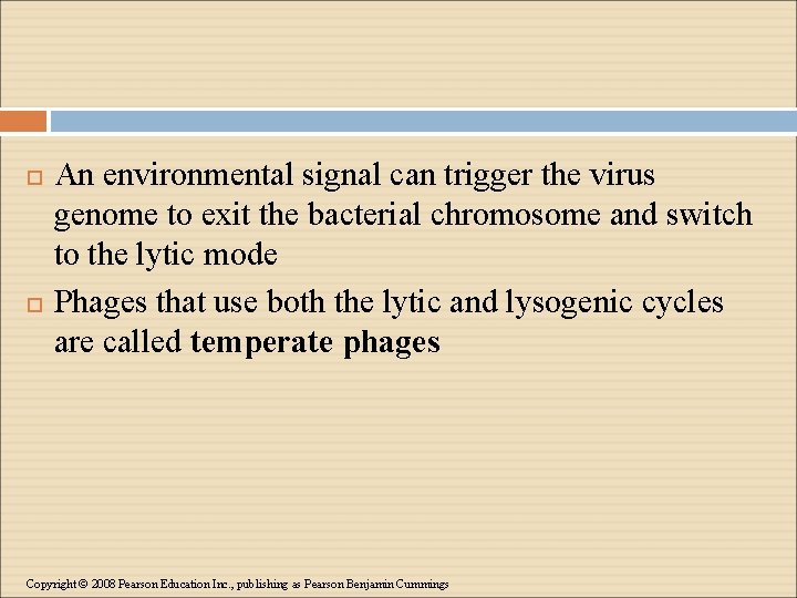 A Borrowed Life Viruses called bacteriophages can infect