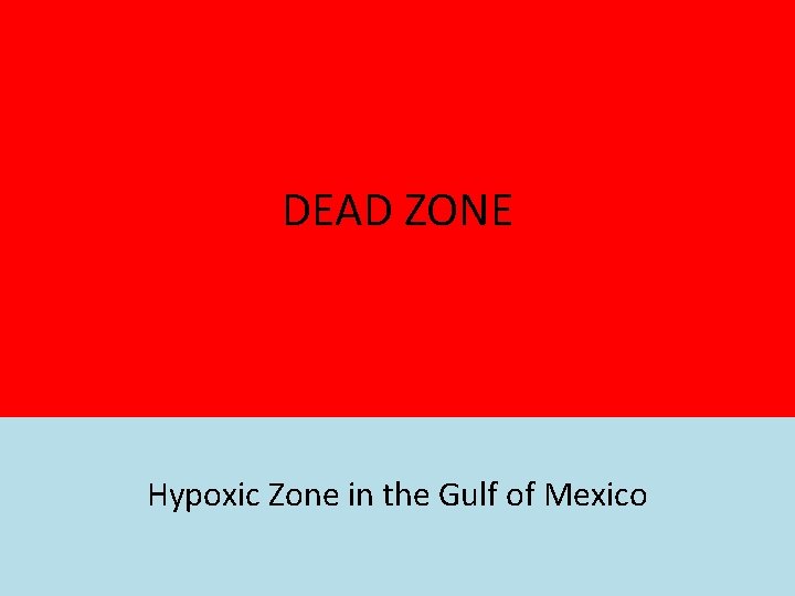 DEAD ZONE Hypoxic Zone in the Gulf of