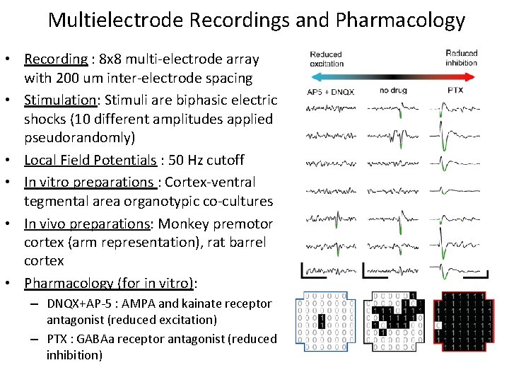 Information Capacity and Transmission are Maximized in Balanced