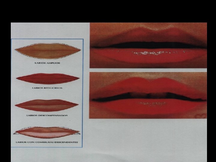 BOCA FORMA Y TIPO DE LABIOS GRANDE REGULAR