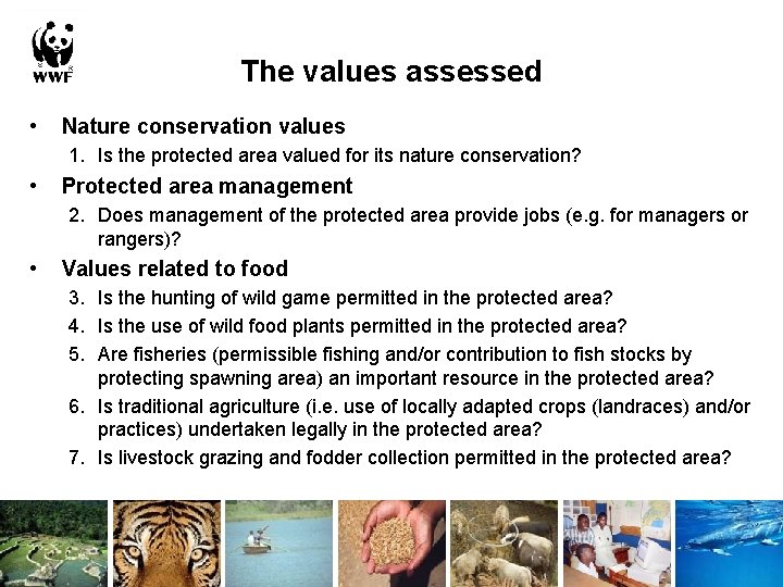 What is the Protected Area Benefit Assessment Tool