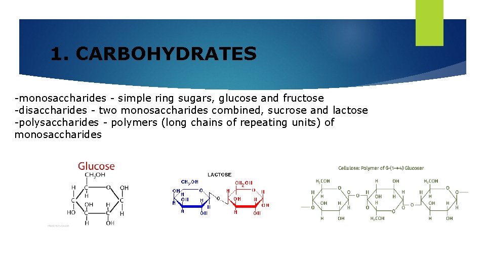 Biochemistry MACROMOLECULES Basics Monomers single subunitpiece Polymer ...