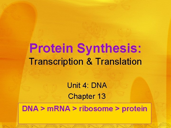 Protein Synthesis Transcription Translation Unit 4 DNA Chapter