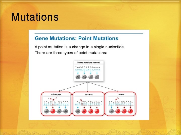Protein Synthesis Transcription Translation Unit 4 DNA Chapter