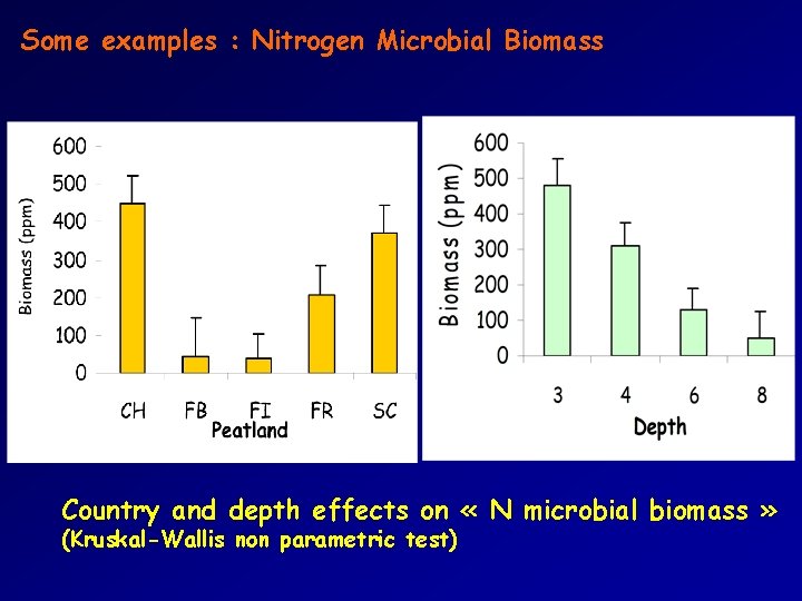 WP O 6 Carbon turnover at different depths