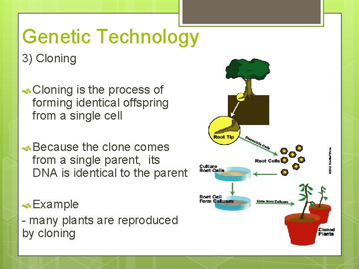 Genetic Technology Grade 9 Reproduction Unit Artificial Selection