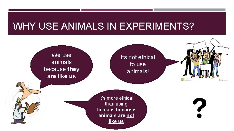 ANIMAL STUDIES CHECK YOU READ THE BPS GUIDELINES