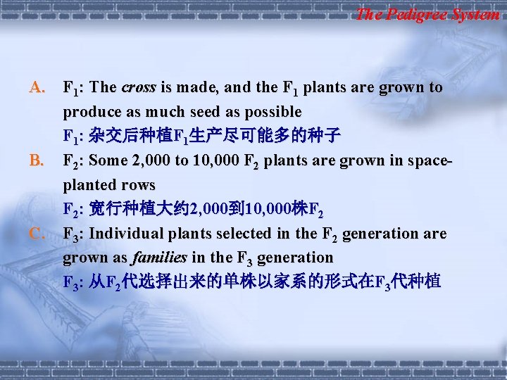 Plant Breeding Chapter 8 The Pedigree System e