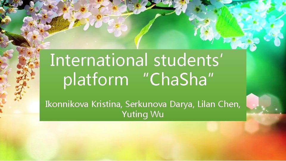 International students platform Cha Sha Ikonnikova Kristina Serkunova