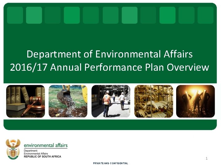 Department of Environmental Affairs 201617 Annual Performance Plan