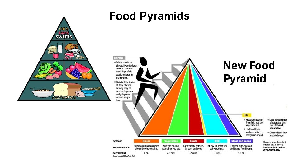 Health Grade 6 Week 2 Mr Vargas What