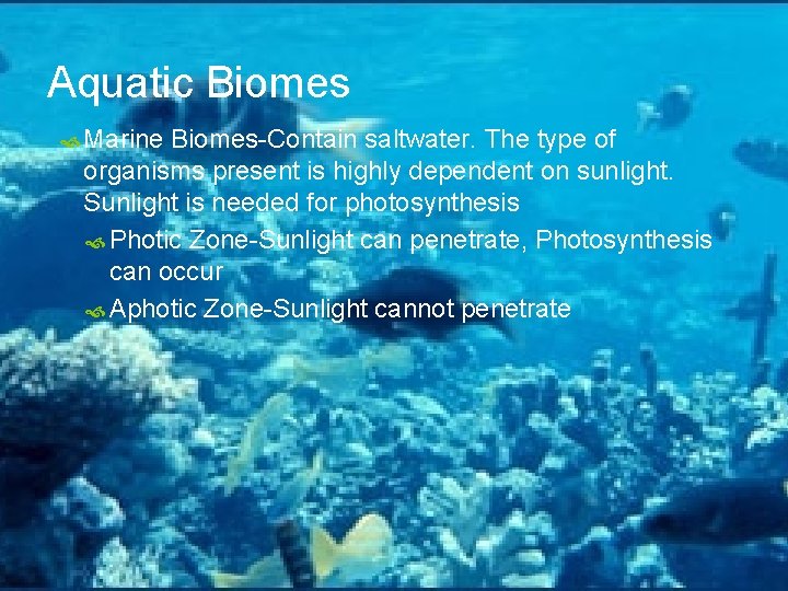 Biomes Biome A biome is a large group