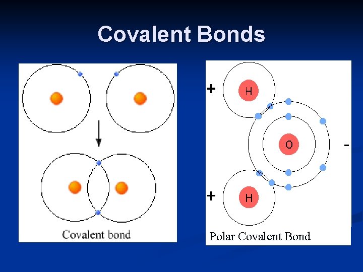 Biochemistry Unit 1 Nucleus n Proton n n