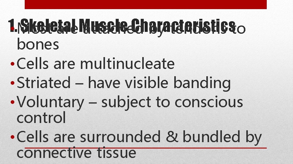 Chapter 8 Muscular System Section 1 Anatomy The