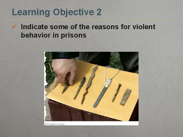 Chapter 12 Behind Bars The Life of an