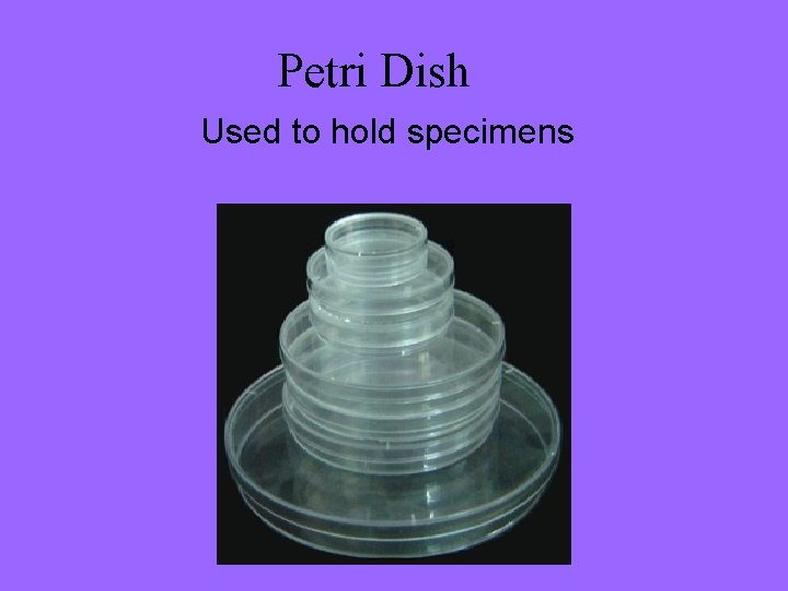 Tools Petri Dish Used to hold specimens Magnet