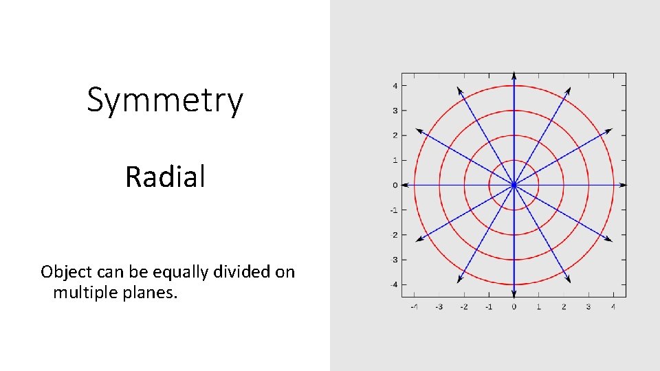 Animals Review Kingdom Animalia Diversity at its best