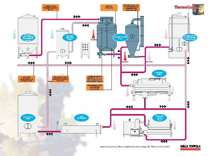 Flash Dtente Implications for Luxury Winemaking Rick Jones