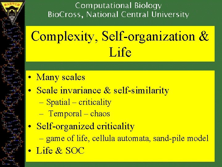 BEAUTIFUL MYSTERIOUS COMPLEX SELF ORGANIZED LIVE CONSCIOUS Complexity