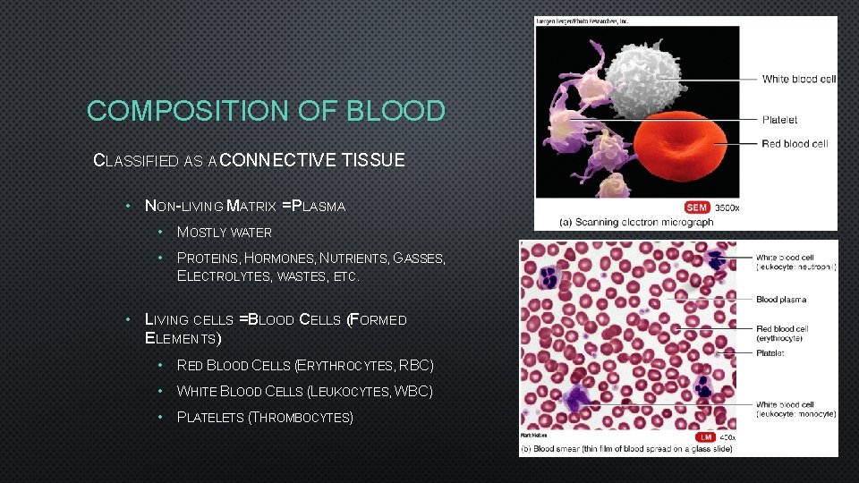THE CARDIOVASCULAR SYSTEM BLOOD CHAPTER 18 Identify the
