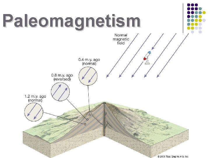 9 4 Testing Plate Tectonics Do Now What