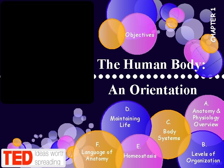 CHAPTER 1 Objectives The Human Body An Orientation