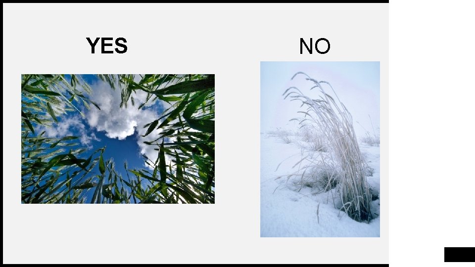 COM 1205 PHOTOGRAPHY INTRODUCTION 3 CAMERA PLACEMENT PERSPECTIVE