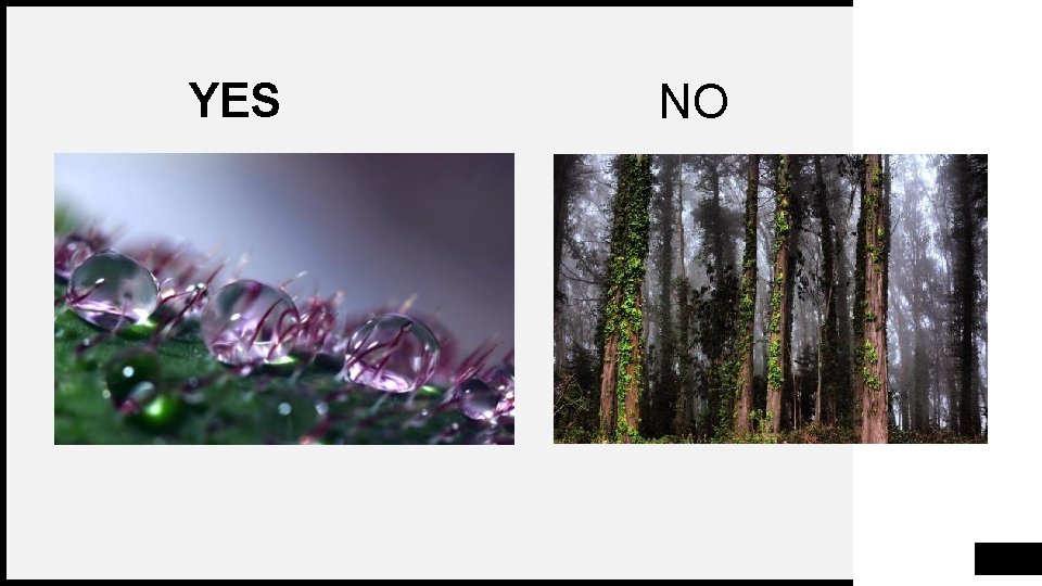 COM 1205 PHOTOGRAPHY INTRODUCTION 3 CAMERA PLACEMENT PERSPECTIVE