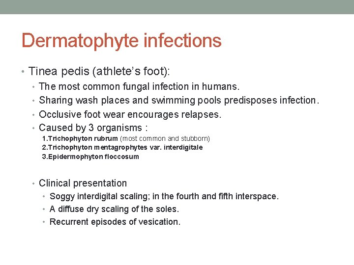 FUNGAL INFECTIONS Fungal infections Dermatophyte infections ...