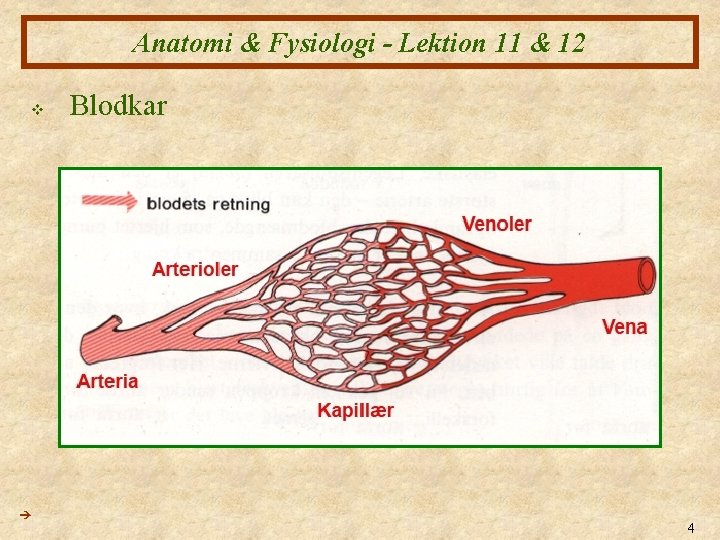 Anatomi Fysiologi XI XII Kredslbet 1 Anatomi Fysiologi