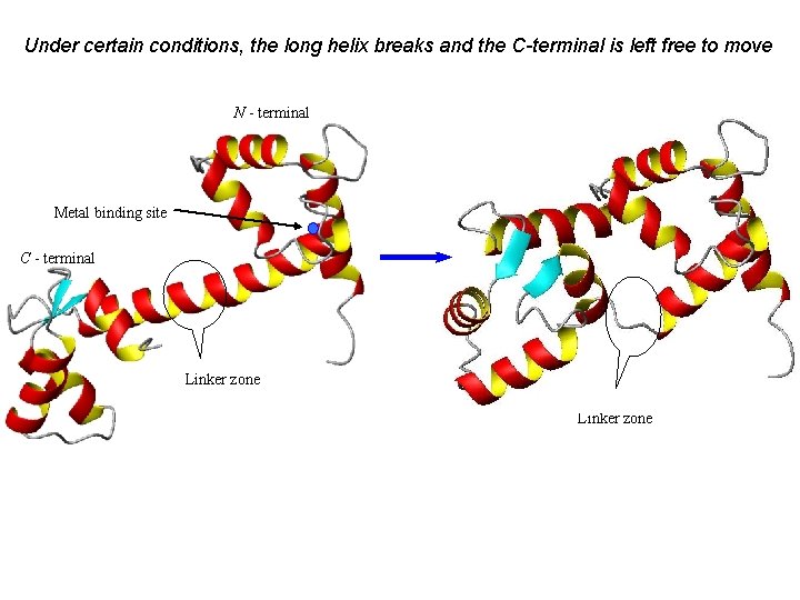 Convex Orbits and Orientations of a Moving Protein