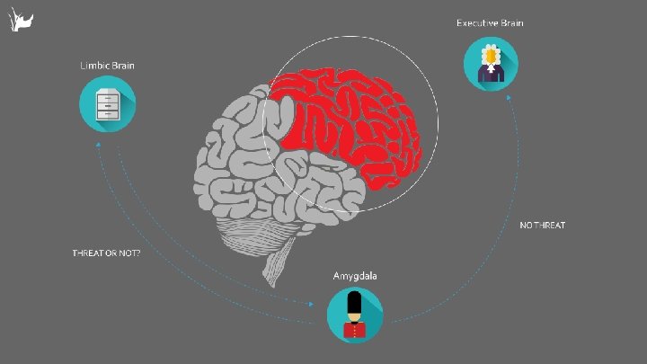The science of healthcare audience journey mapping Health