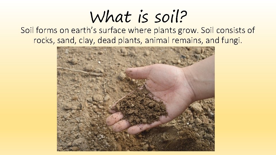Soil What is soil Soil forms on earths