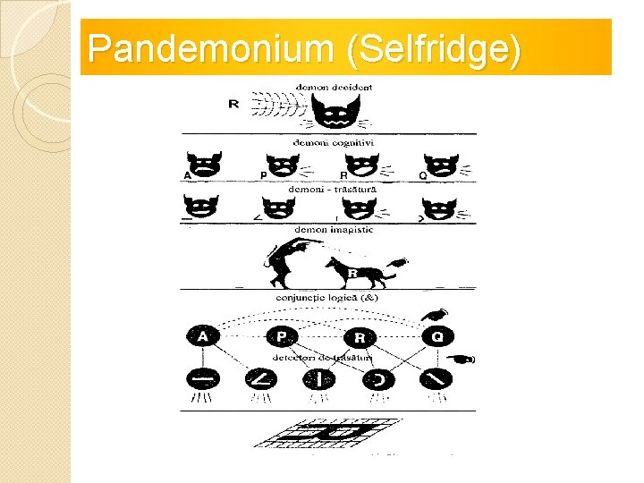 Curs 5 Procesarea vizual secundar Recunoaterea obiectelor Schema