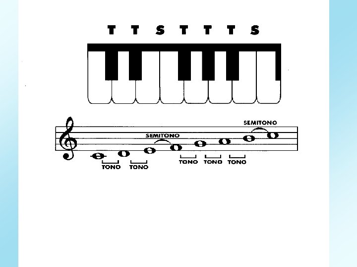 TONO SEMITONO Modelli modelli mentali forme Modelli modelli
