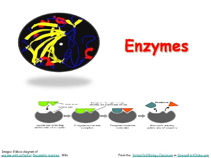 About Science Prof Online Power Point Resources Science