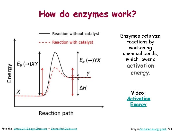 About Science Prof Online Power Point Resources Science