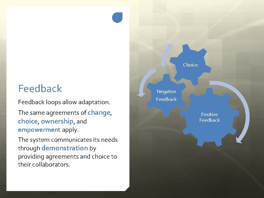 Self Organizing Systems A Leadership of Chaos Series