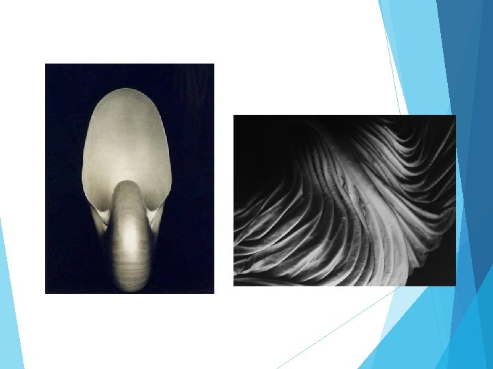 Photograph vs Snapshot Qualities of a fabulous photo