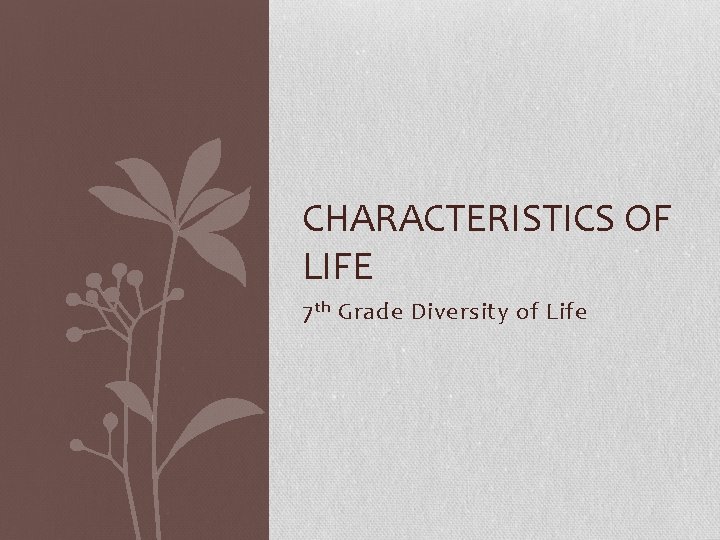 CHARACTERISTICS OF LIFE 7 th Grade Diversity of