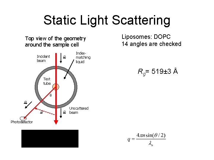 Morphological Changes of Liposomes Induced by Melittin Jirun
