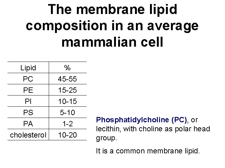 Morphological Changes of Liposomes Induced by Melittin Jirun