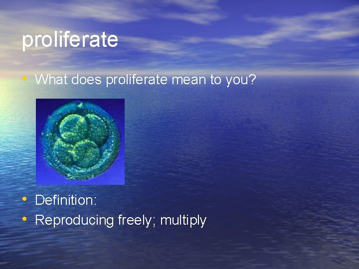 Brave New World Vocabulary s 1 15 Pallid