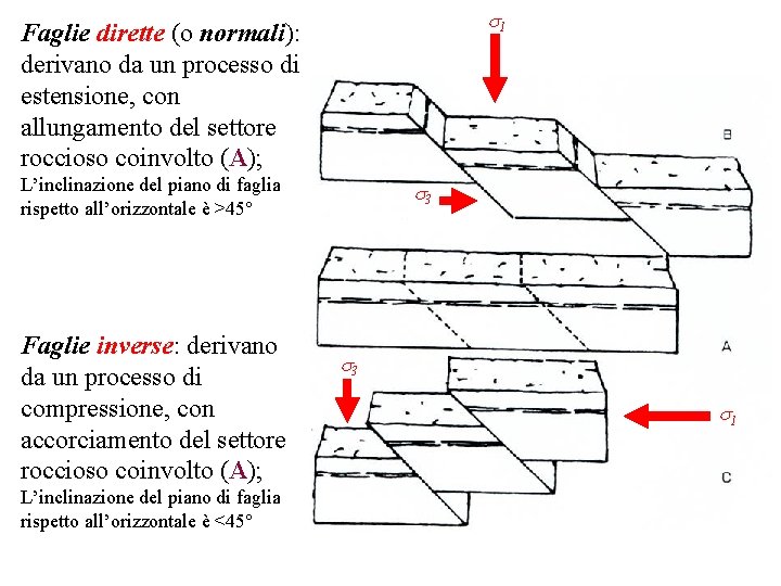 STRATIGRAFIA E TETTONICA ELEMENTI DI STRATIGRAFIA disciplina che
