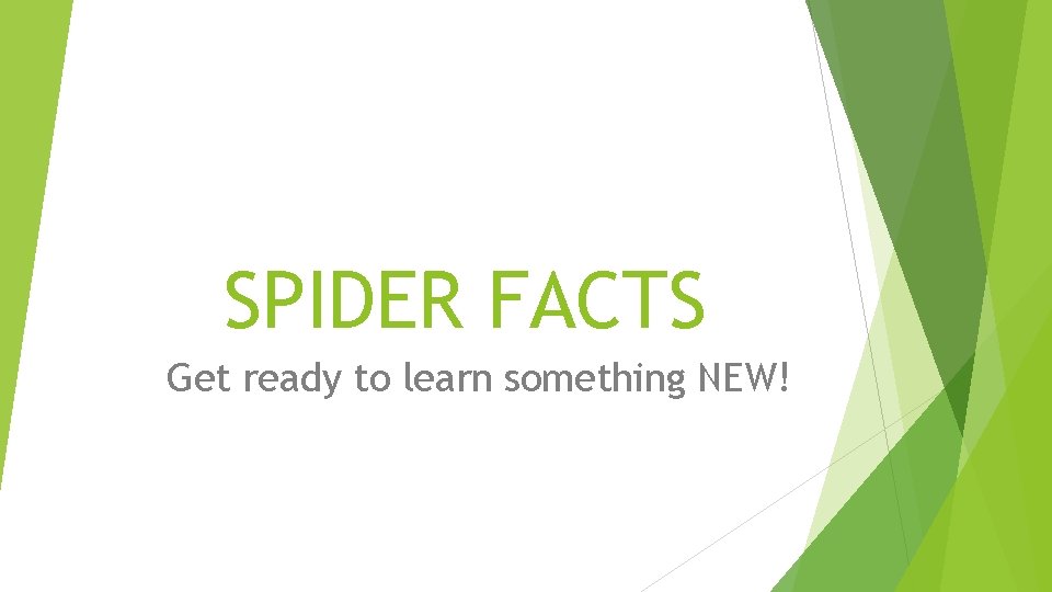 SPIDER FACTS Get ready to learn something NEW